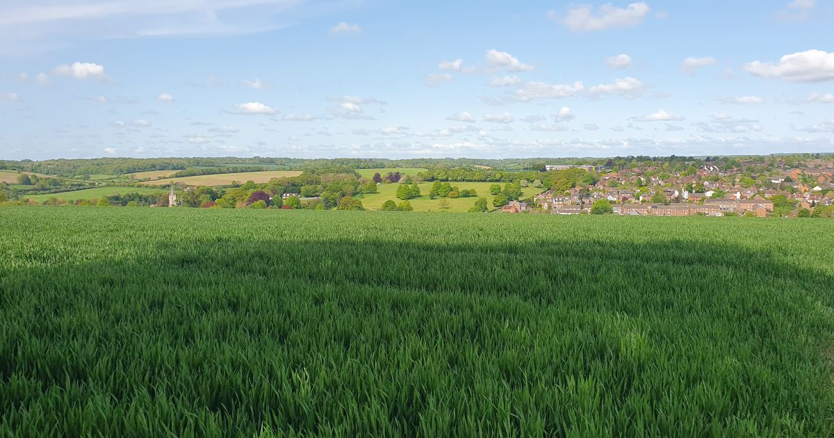 Chesham and the Chess Valley - Ramblers