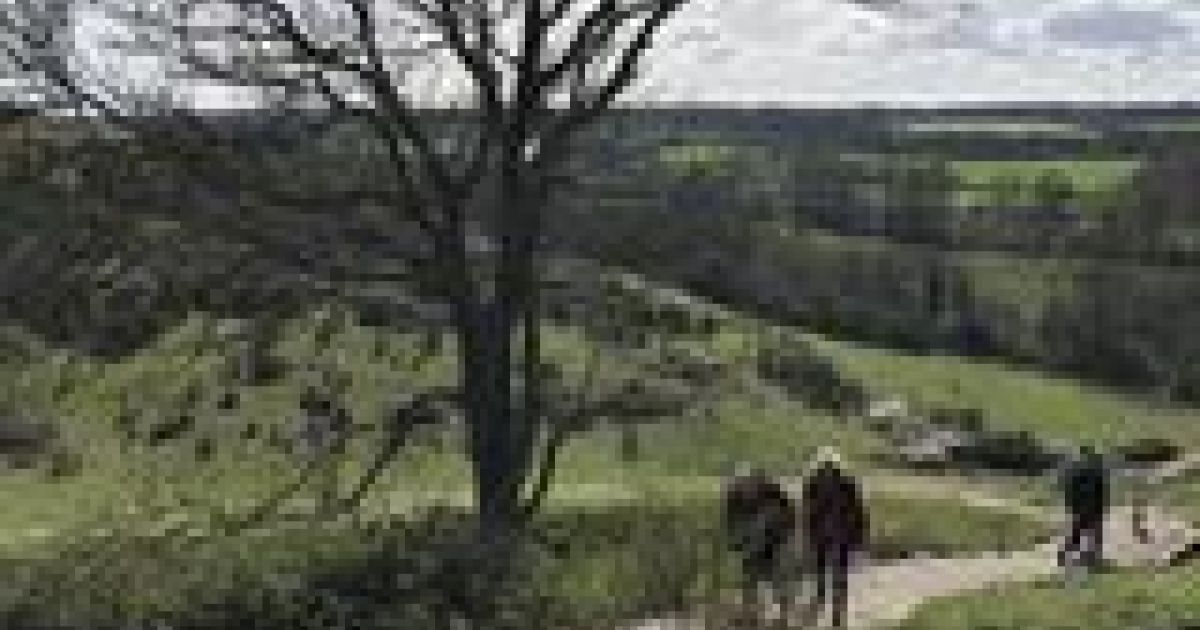 Compton Circular - Ramblers