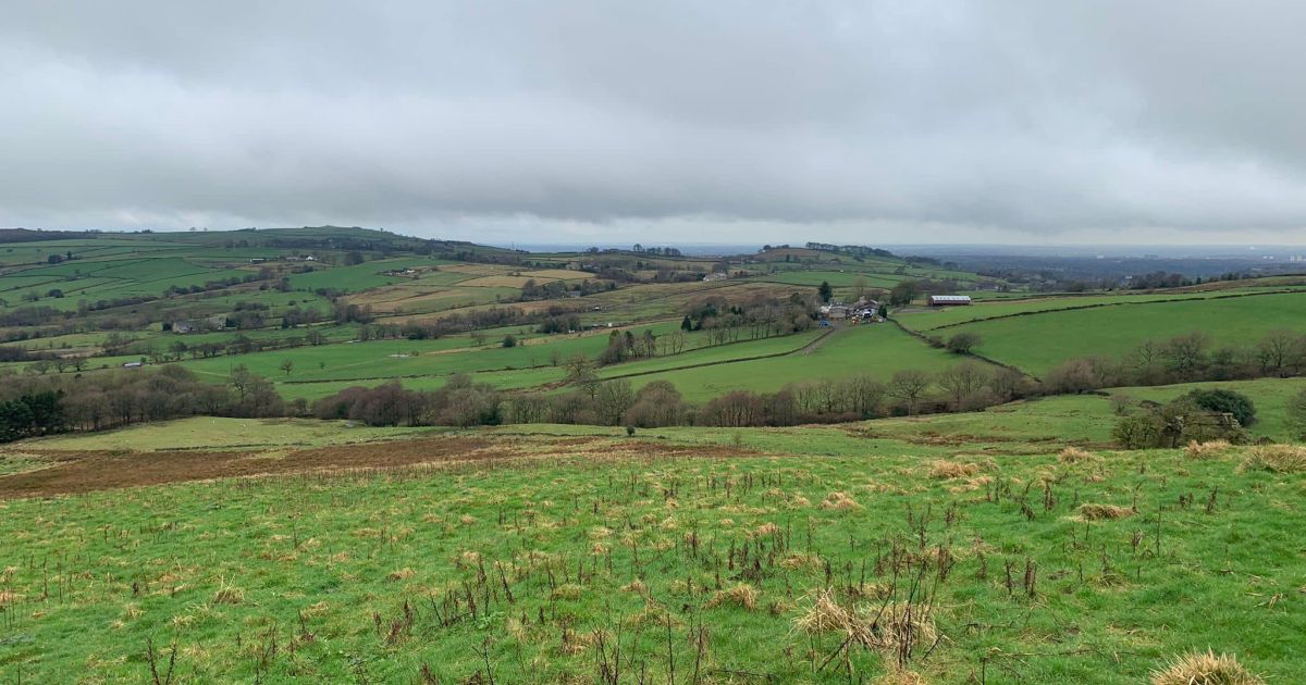 Cown Edge - Thur 12 Dec - Ramblers