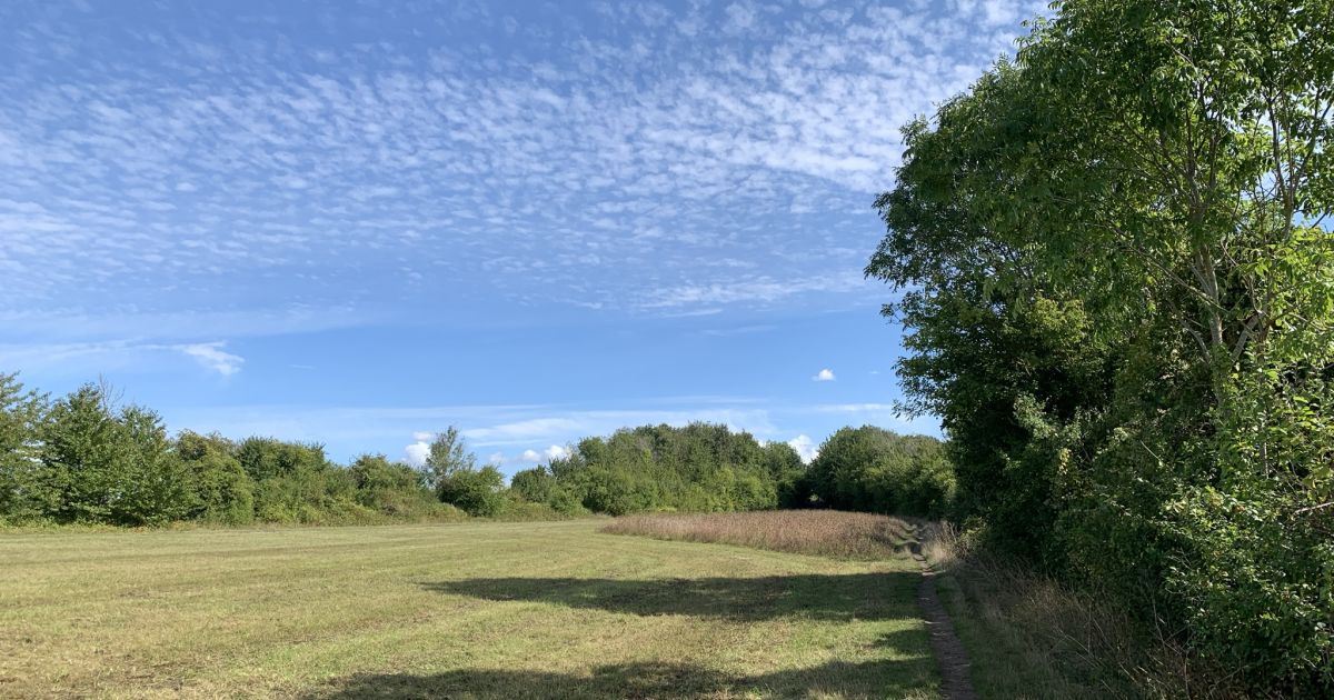 New Chelsfield to Old Chelsfield and back - Ramblers
