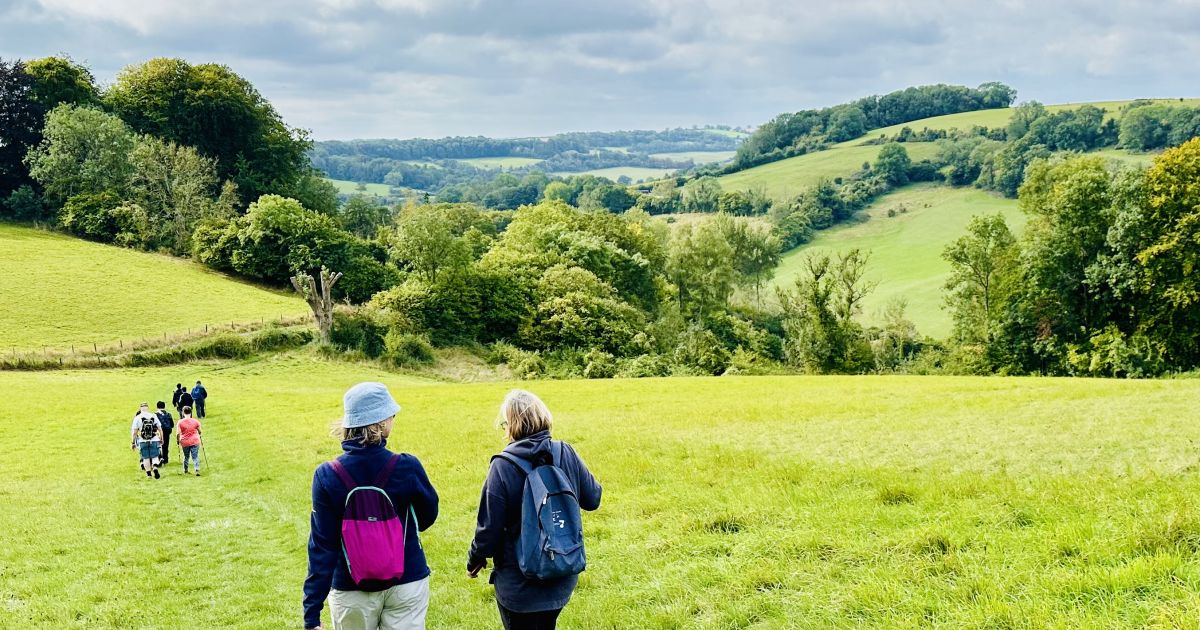 Bath - autumn woods and old railways (Somer Valley Ramblers walk ...