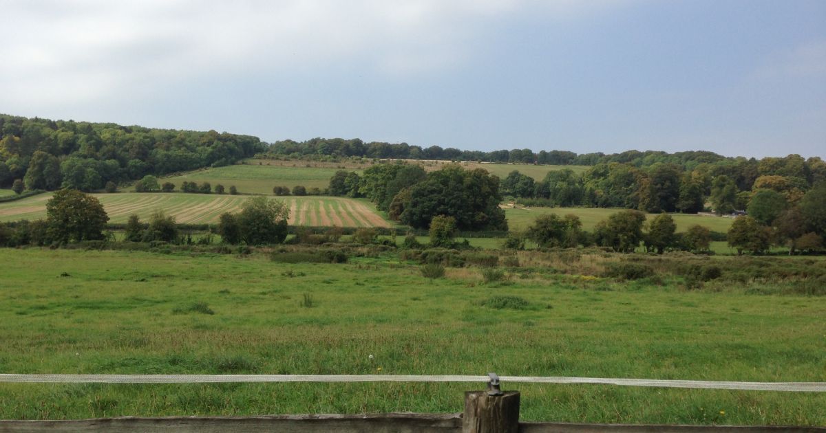 Hambleden and Pheasants Hill - Ramblers