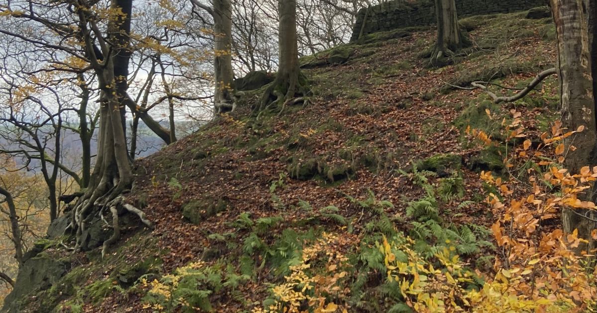 Todmorden in the Autumn (circular) - Ramblers