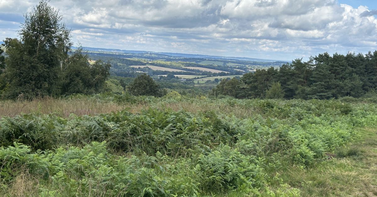 The western fringes of Ashdown Forest from Forest Row - Ramblers