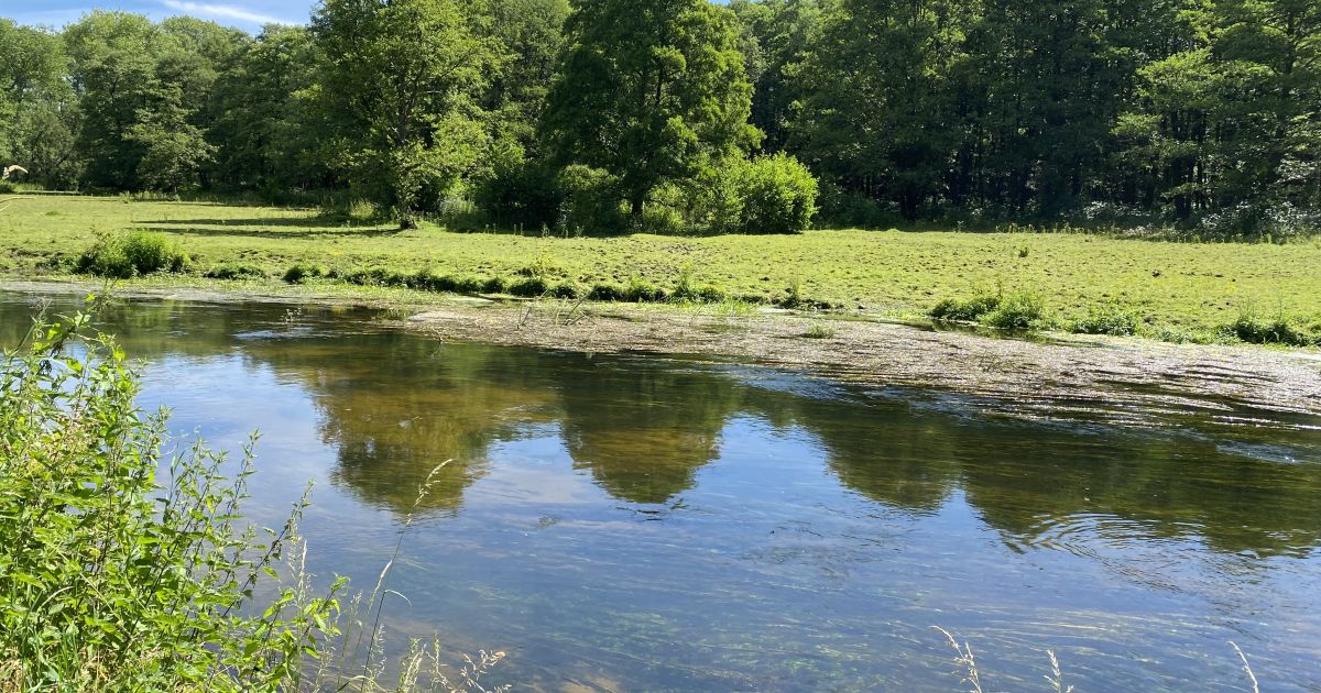 Brandon to Thetford linear - Ramblers