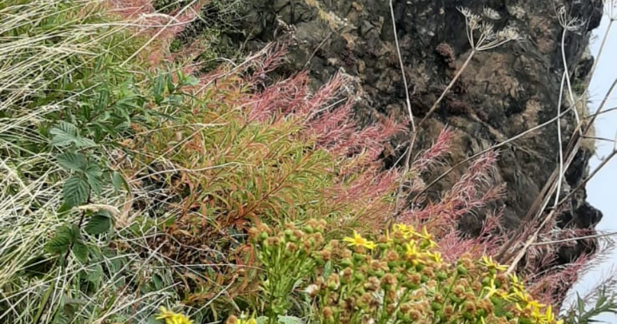 Biddulph Grange & Mow Cop, Staffordshire - Ramblers