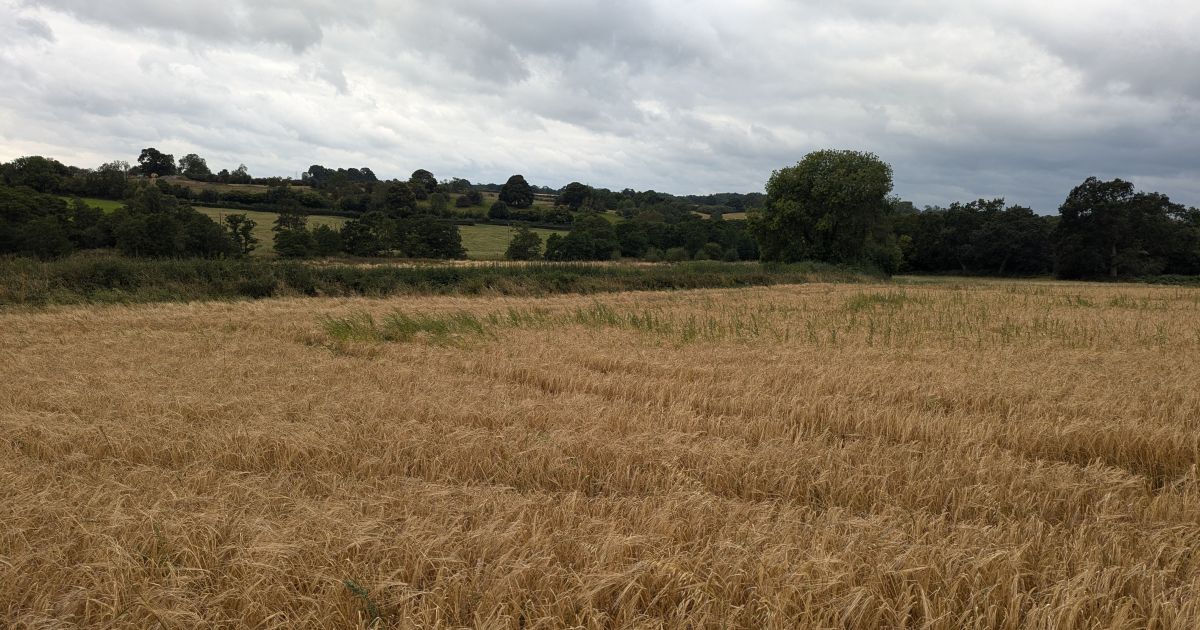 BOOKABLE - Mugginton, Turnditch and Weston Underwood - Ramblers