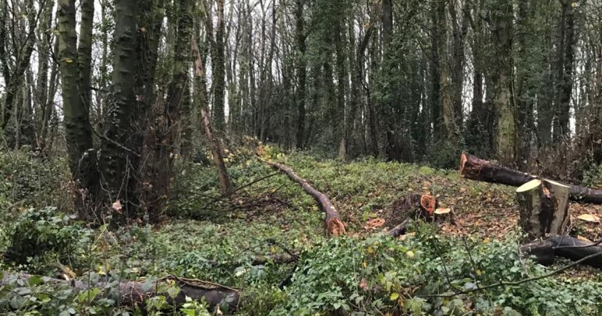 Lowdham, Ploughman's Wood & Lambley - Ramblers