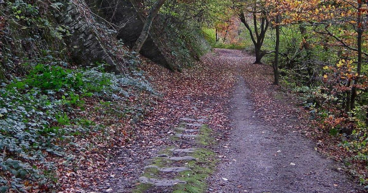 The Trevithick Trail - a walk through history surrounded by the beauty ...