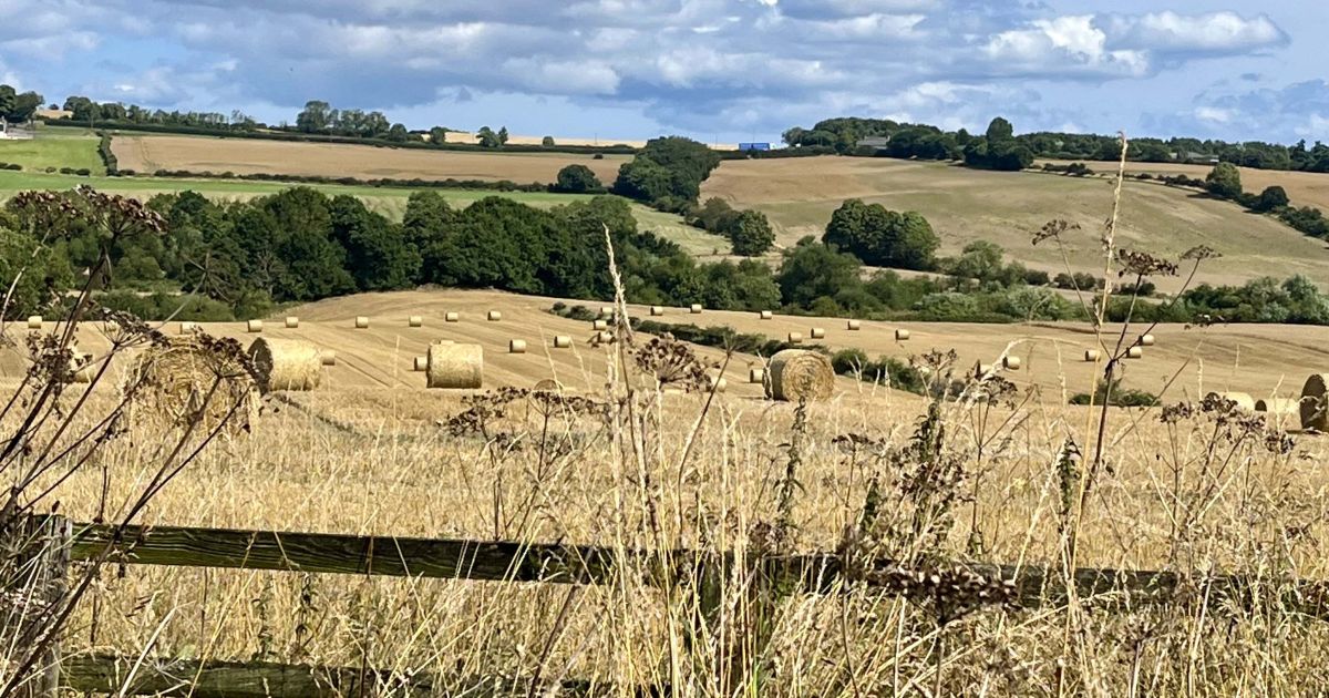 Witton Gilbert - Ramblers