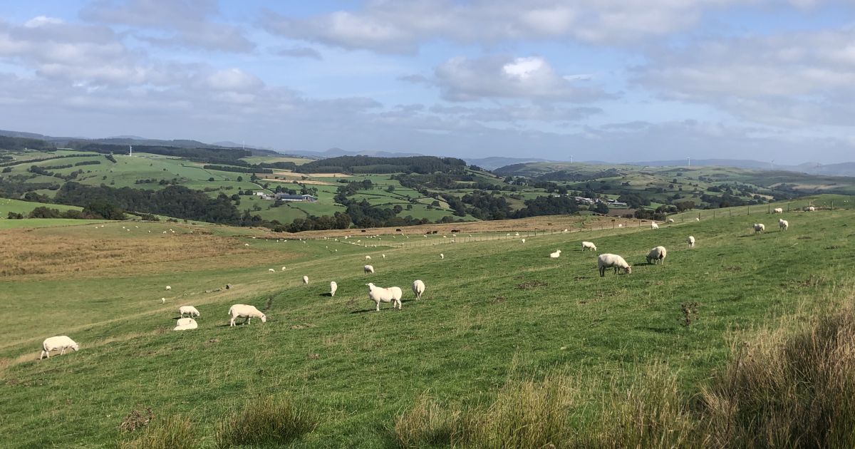 Bettws Gwerfil Goch to Llanfihangel Glyn Myfyr via the Alwen valley ...