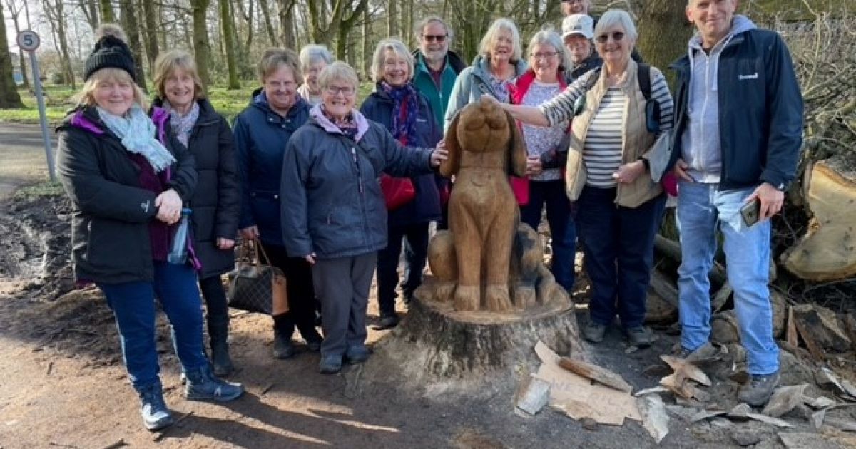 Chaddesden Park walk