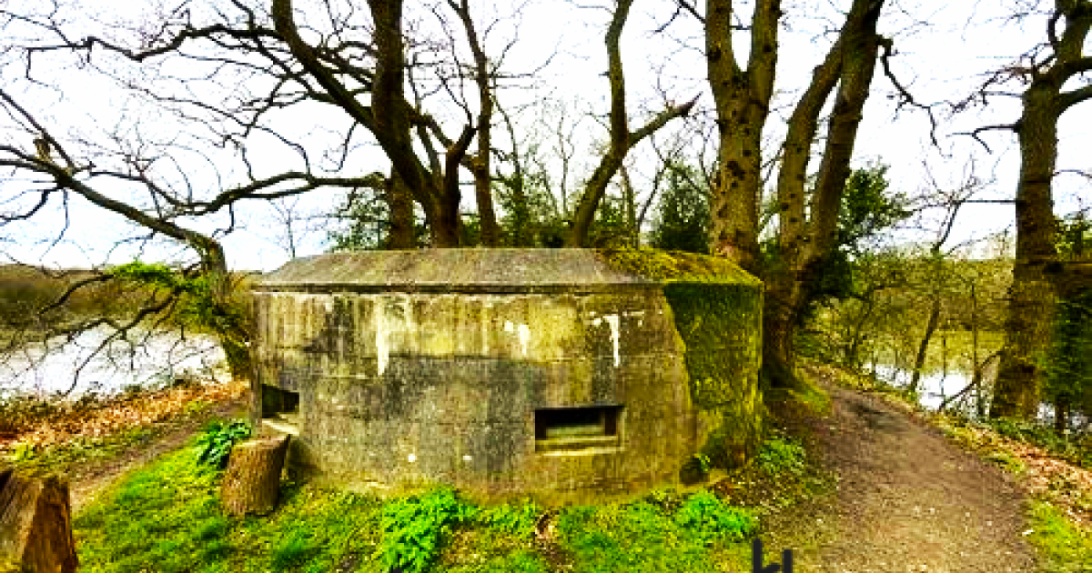 Disused railways & Chinthurst Hill - Ramblers