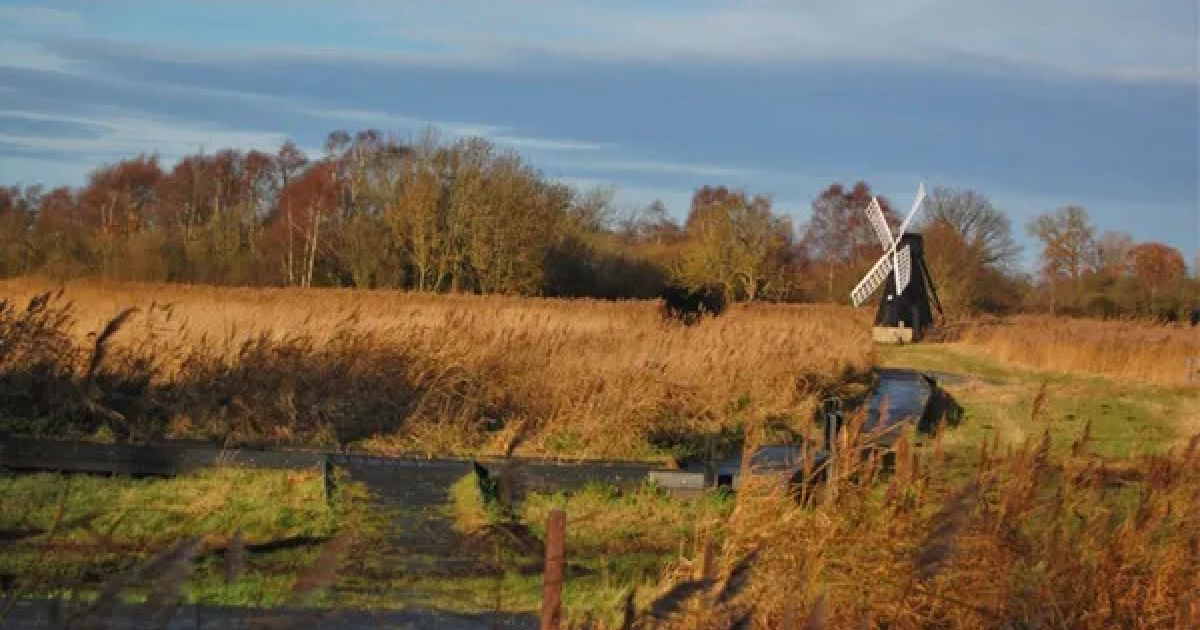 Wicken Fen Circular, 6 miles, leisurely - Ramblers
