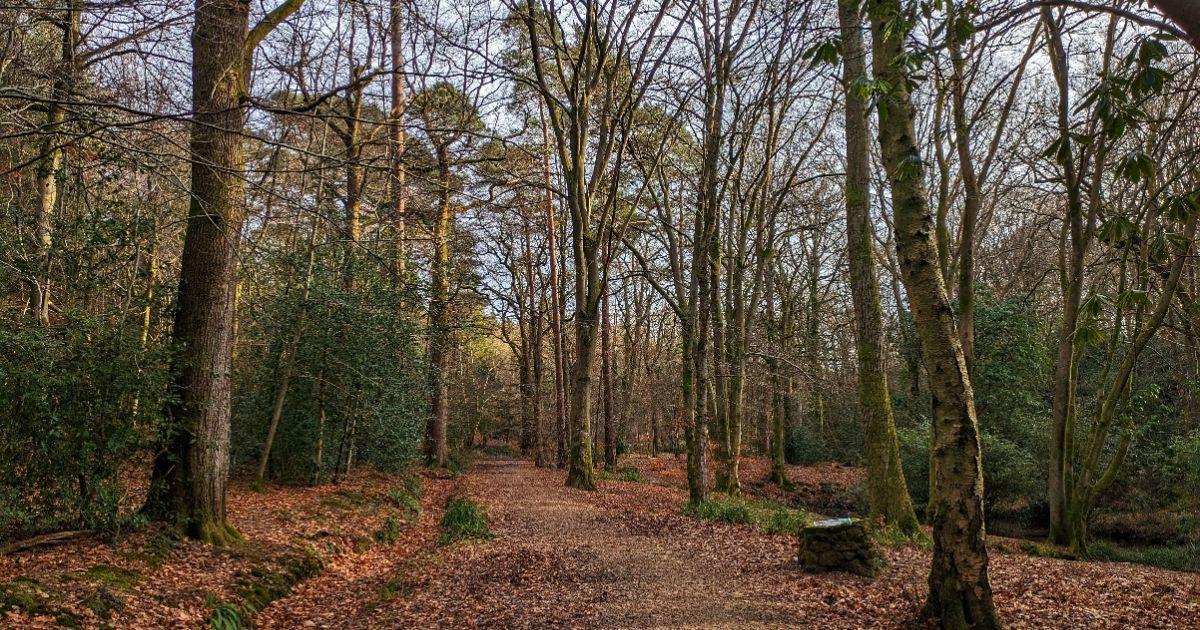 Duncan's Pratt's Bottom Promenade - Ramblers