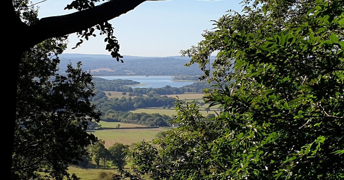 Ide Hill/Dibden circular - Ramblers