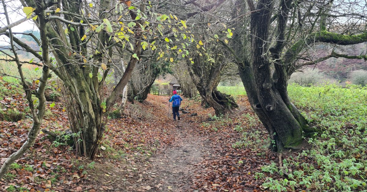 Gun Powder Trail (Booking required) - Ramblers