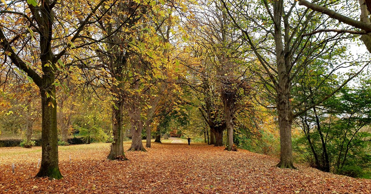 Tyne Green Country Park, Hexham - Ramblers