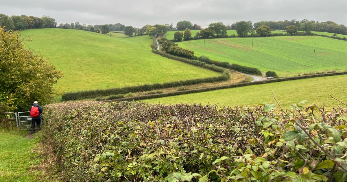 CHESHAM - Ramblers