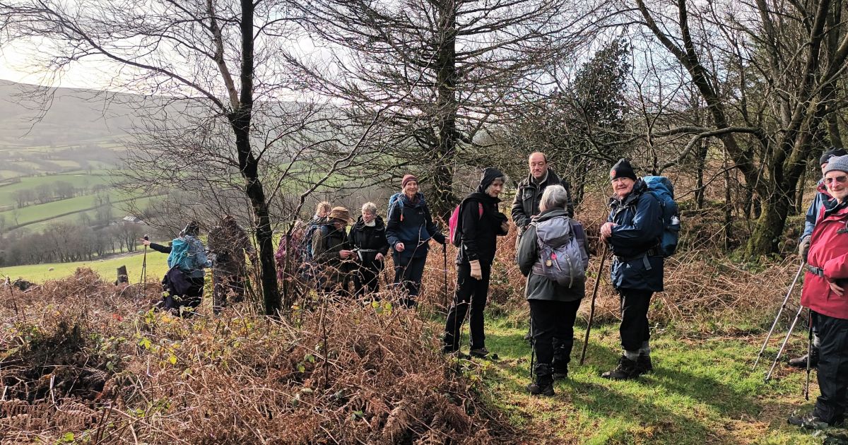 Autumn in Pen Arthur Forest - Ramblers