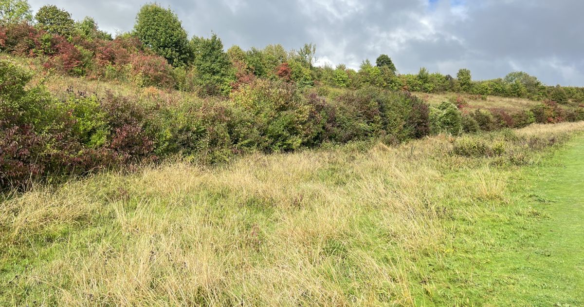 Princes Risborough with fine views and railways - Ramblers