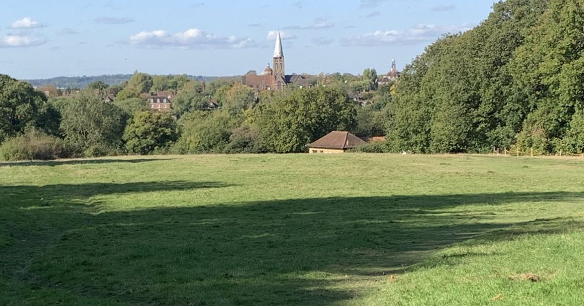 An Autumnal North London Walk - Ramblers