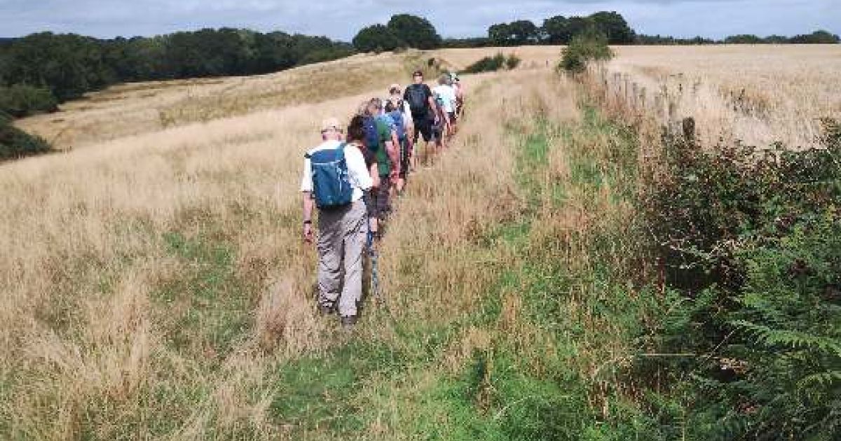 Friday 4 miler Braishfield circular - Ramblers