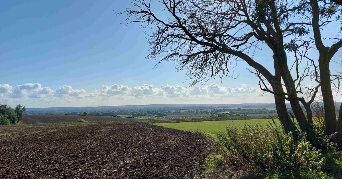 Arrington circular - Ramblers