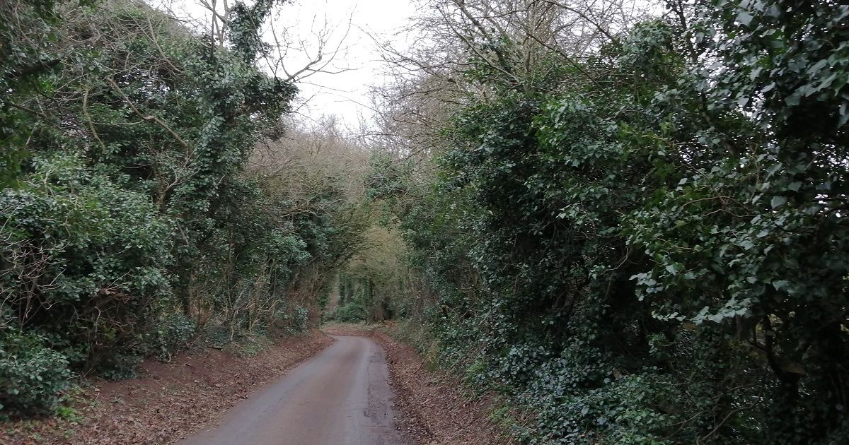 Cotgrave Forest and Country Park - Ramblers
