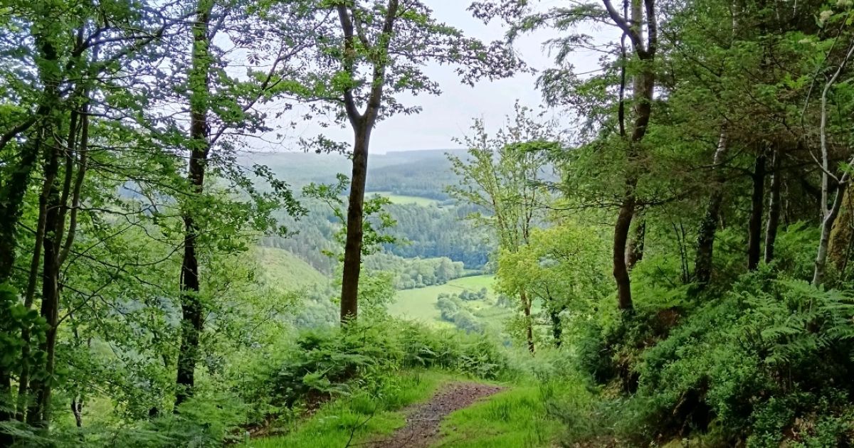 Winterfold & Hurtwood - Ramblers