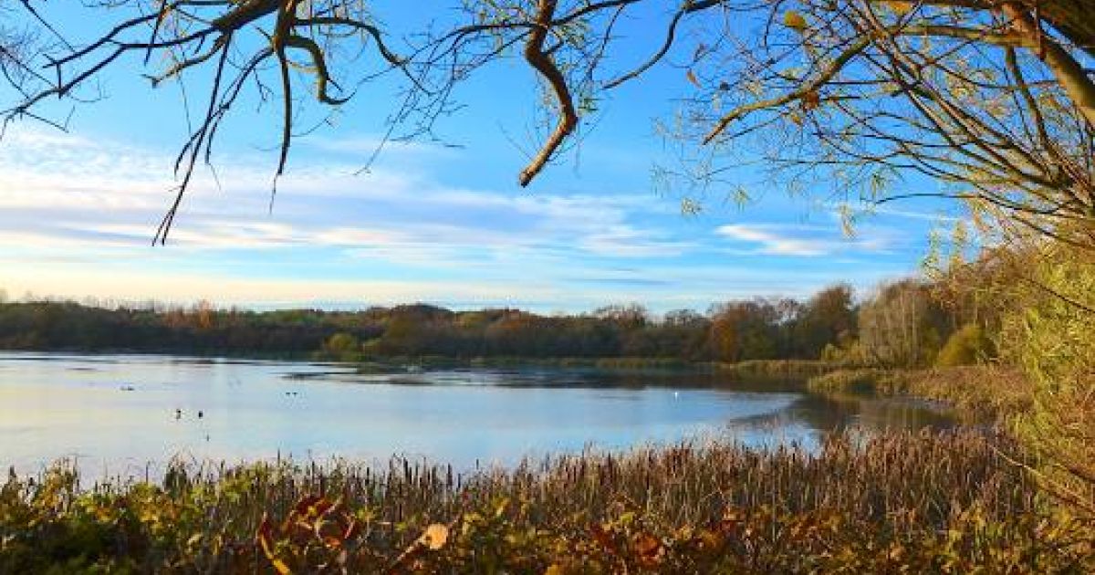 WALK FULL - Carluke to Hamilton via the Clyde Walkway and RSPB Baron's ...