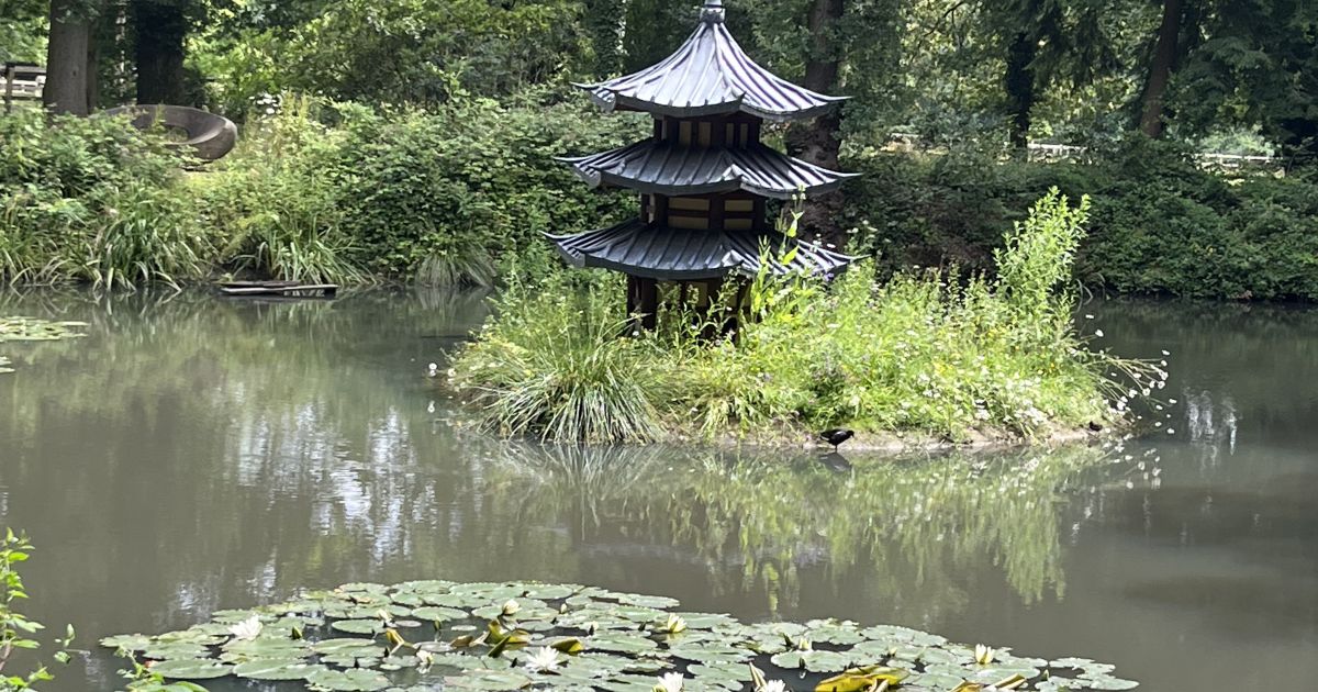 DW - Checkendon circular Autumn walk - Ramblers