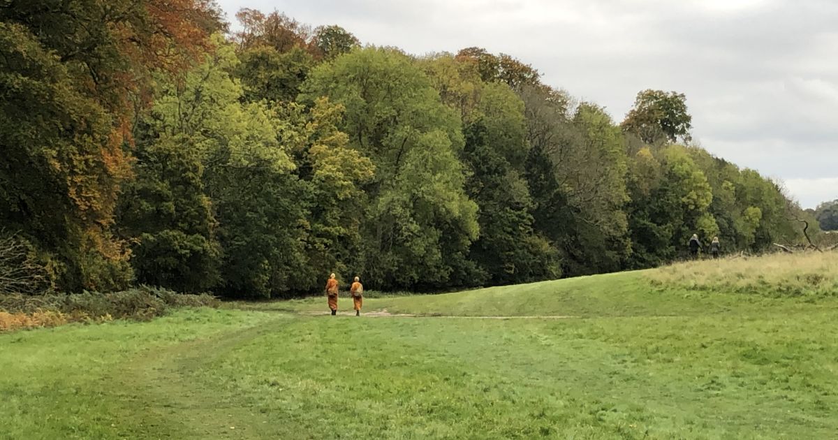 Potten End, Ashridge and Golden Valley - Ramblers