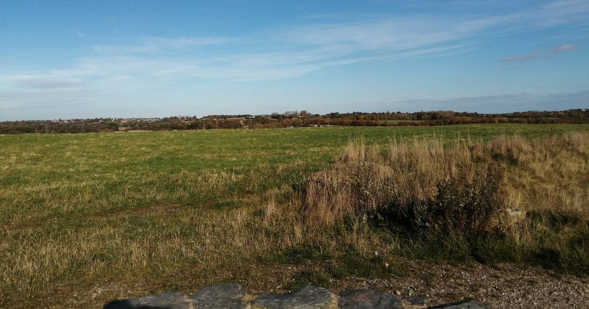Rabbit Ings - Pre-booking with the Walk Leader is ESSENTIAL - Ramblers