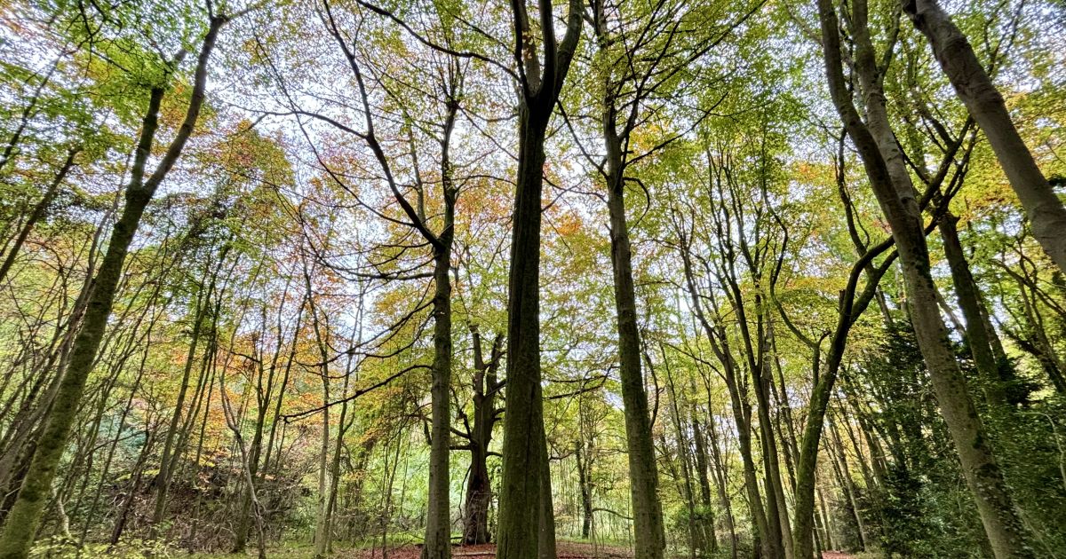 Otford Circular - Ramblers