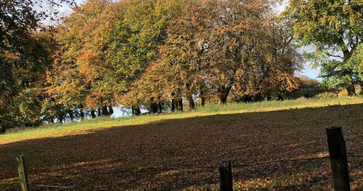 East of Caerphilly.Mynydd Rudry, Rudry and the Rhymney Valley Ridgeway ...