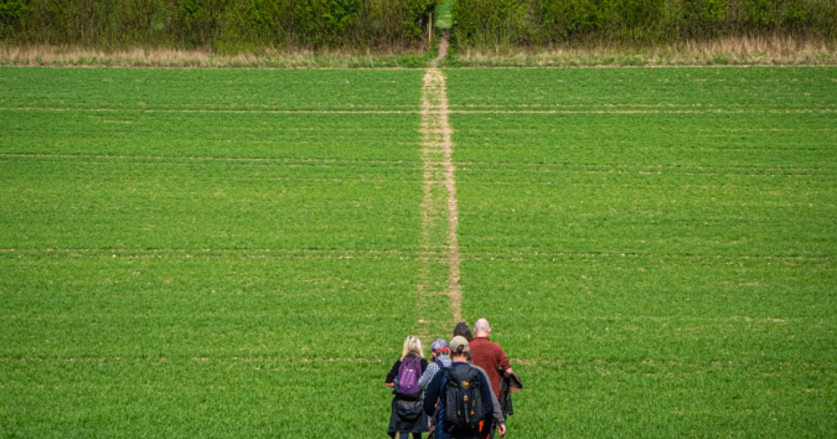 Oliver's Battery Circular - Brisk Pace - Ramblers