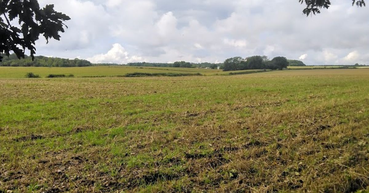 Circular walk from Rowlands Castle - Ramblers