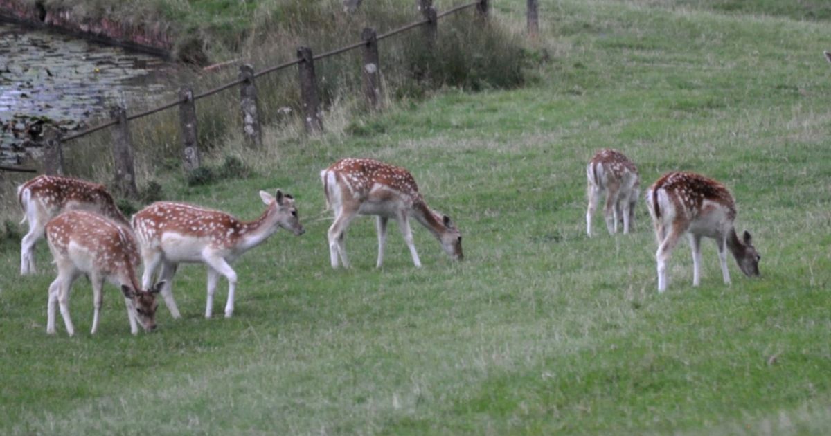 Napton and Shuckburgh - Ramblers
