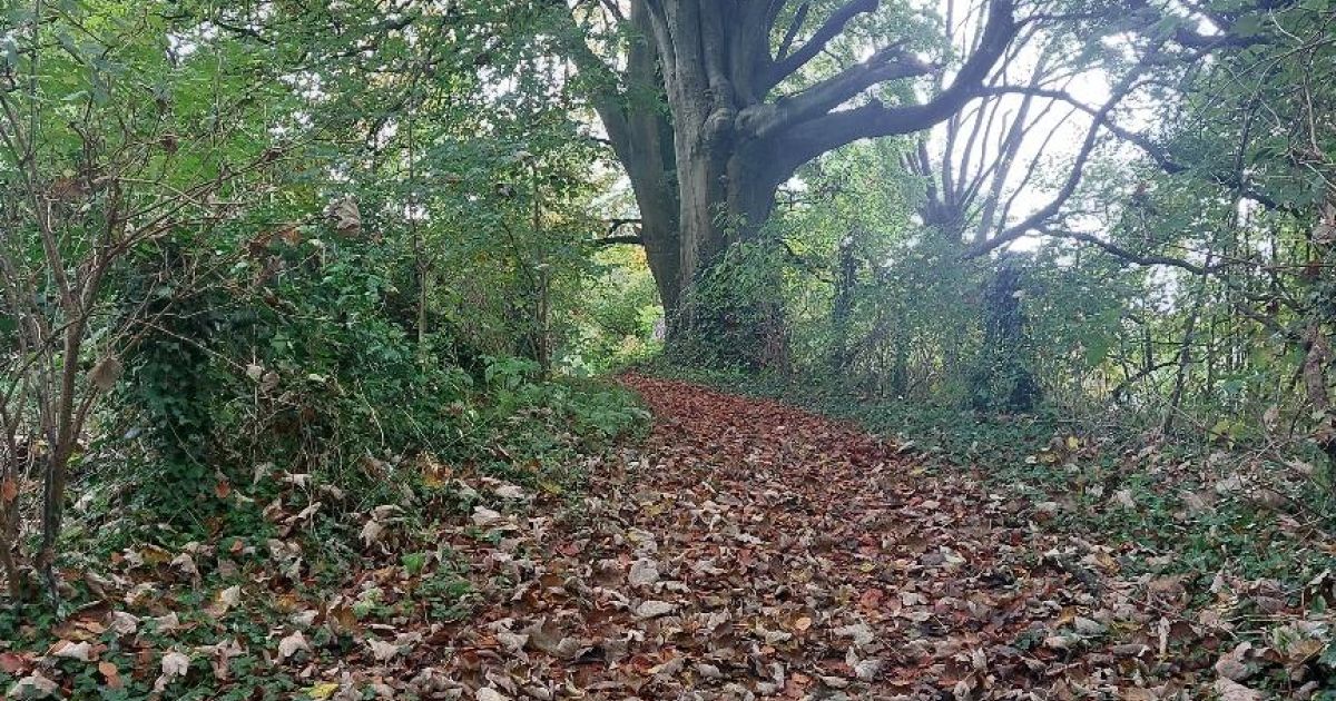 MURDER IN THE WALLOPS - Ramblers