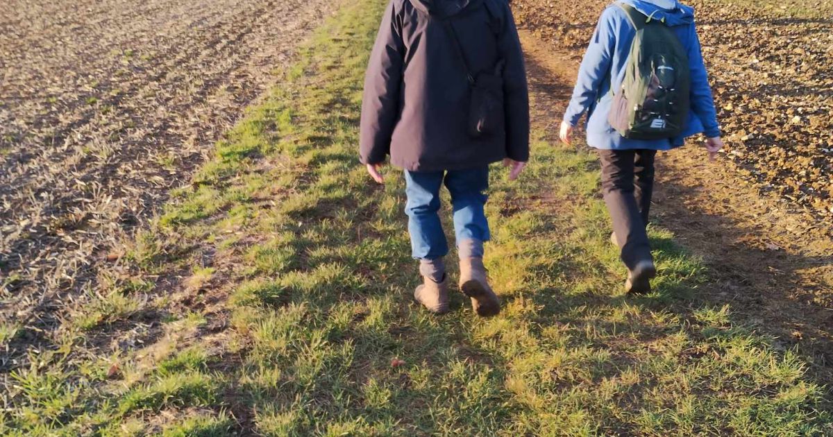 Friday 4 miler Lower Upham circular - Ramblers