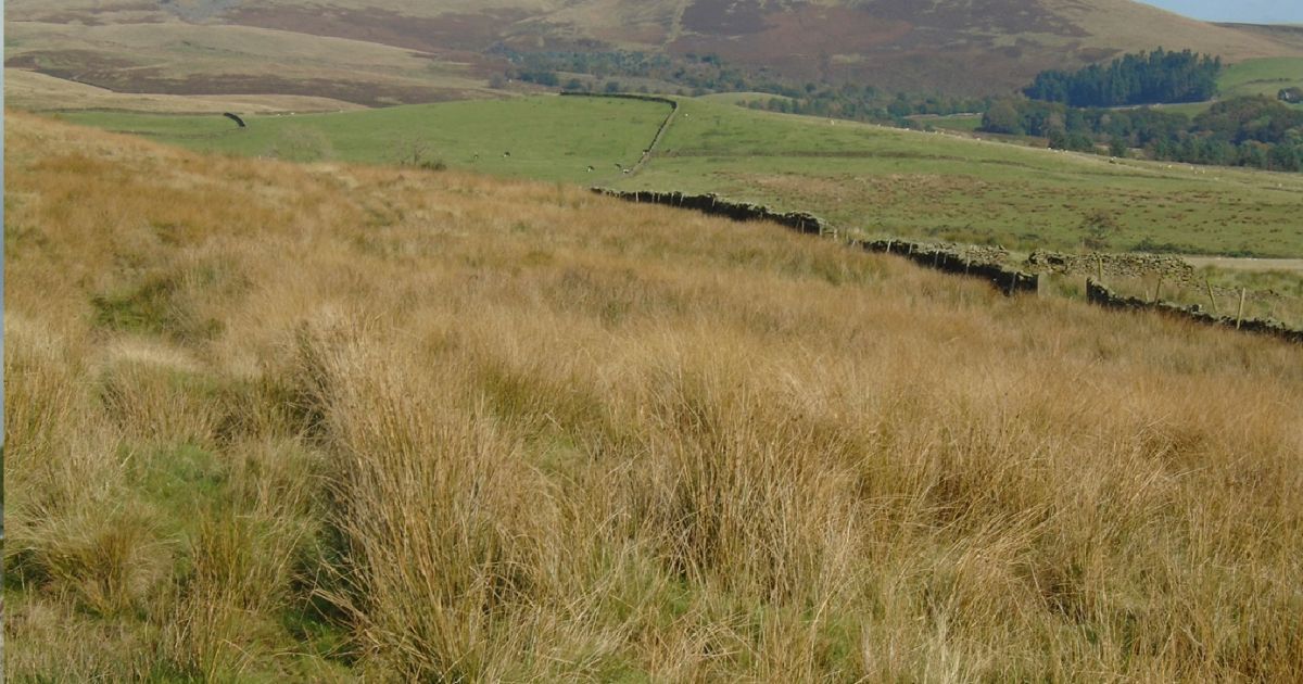 Nick of Pendle - Ramblers