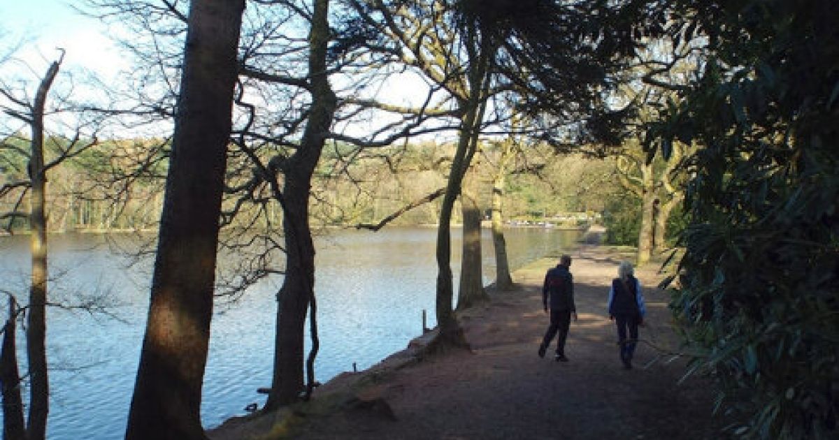 Walking among the Pyramids (Sutton Park, West Midlands) 6m Sat 09/11/24 ...