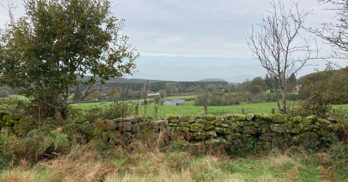 Trellech Common & Loysey Woods - Ramblers
