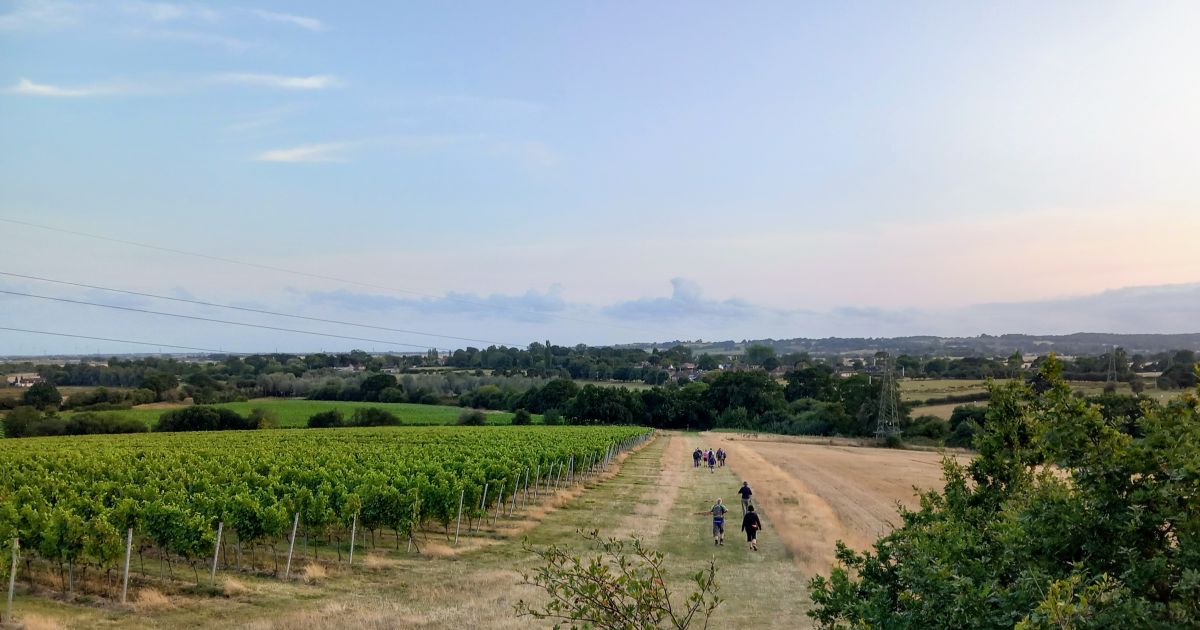 Appledore walk - Ramblers