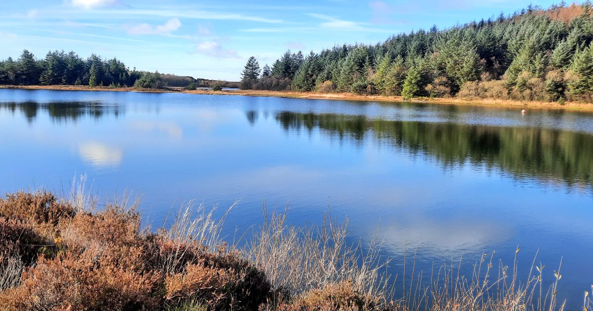 CANCELLED-Walk around the 'Lakes' area East of Penrhyncoch.-CANCELLED ...