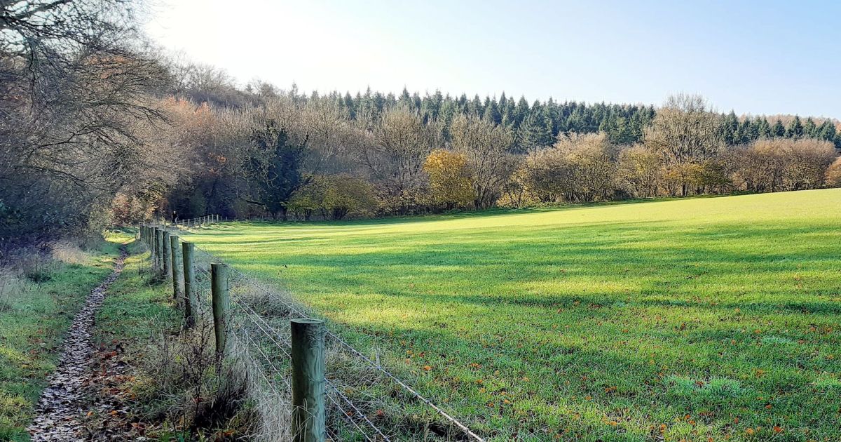 Circular loop from Coleshill (Amersham) to Knotty Green and back - Ramblers