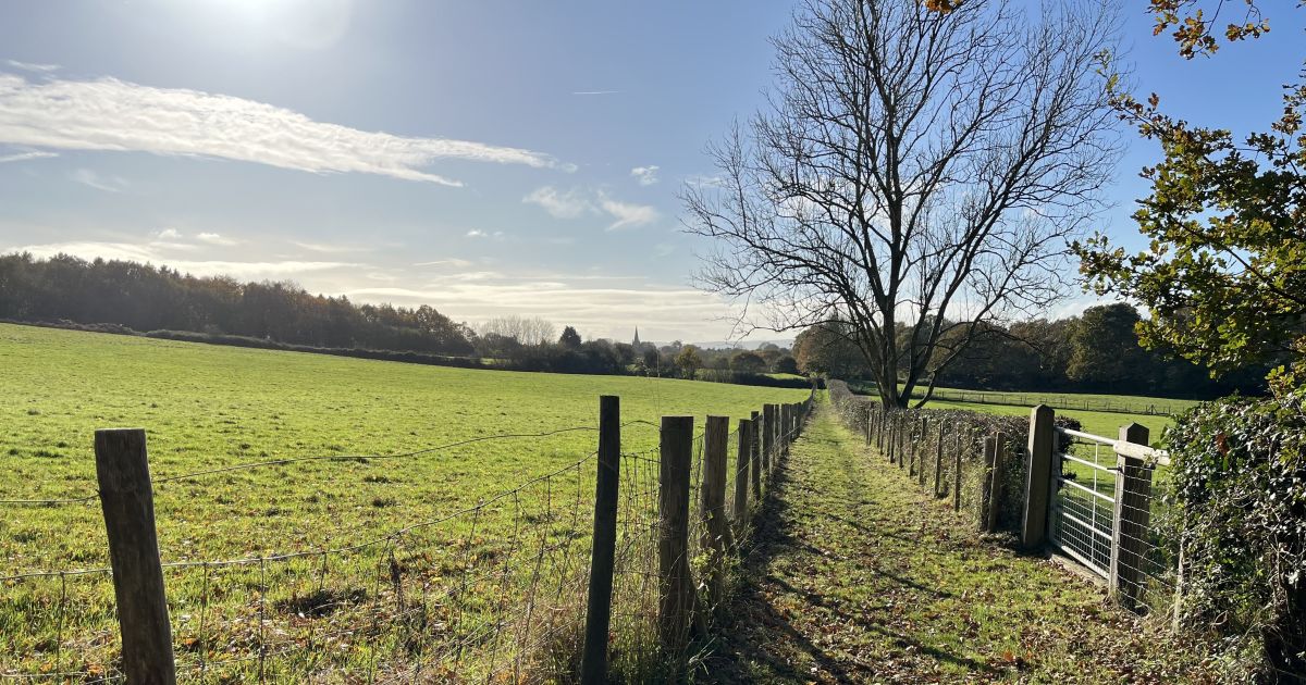 Waldron & Chiddingly Circular - Ramblers