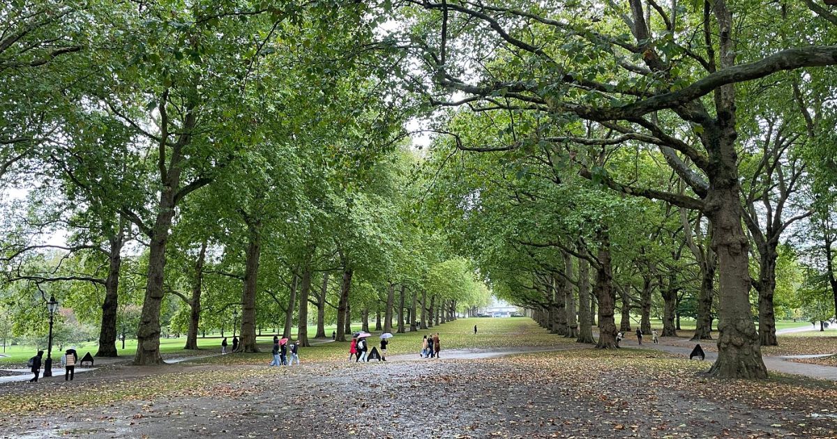 The Lungs of Central London: a four-park walk - Ramblers