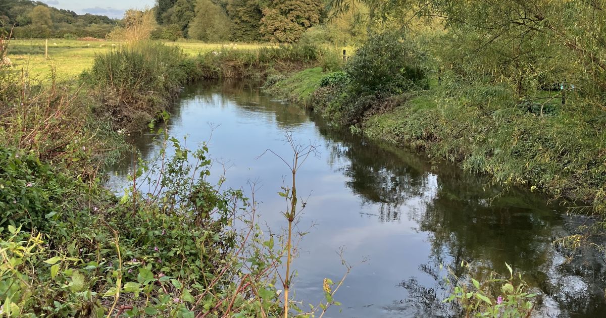 Wolverley & Kingsford Forest / 6 Miles / 3 Hours 15 mins - Ramblers